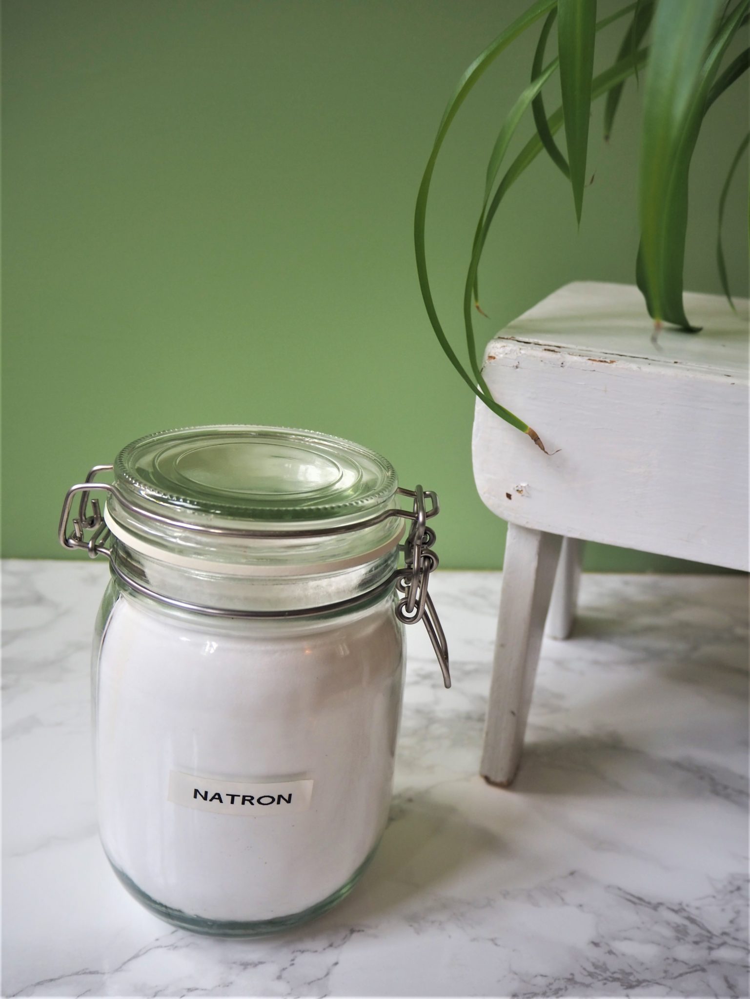 Natronlisten - Grønfidus.dk